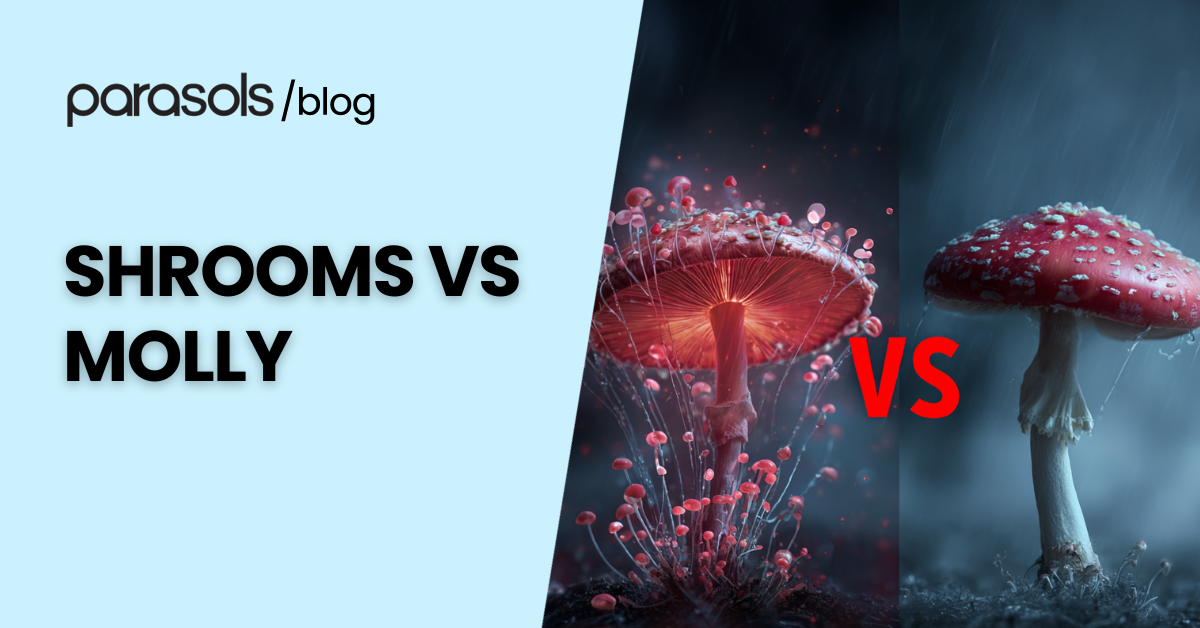 Shrooms Vs Molly: 6 Factors to Consider When Choosing - Parasols